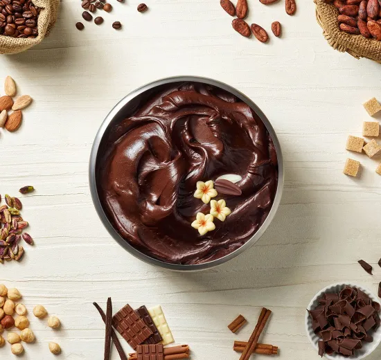 IRCA Group | CHOCOLATE ICE CREAM WITH JOYBASE CHOCO TANDEM